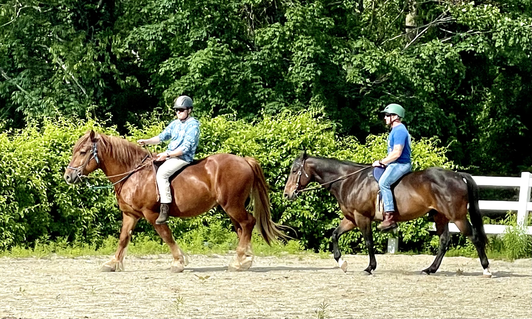Single Day Program at Stepping Stones Farm & Event Center in Temple, NH
