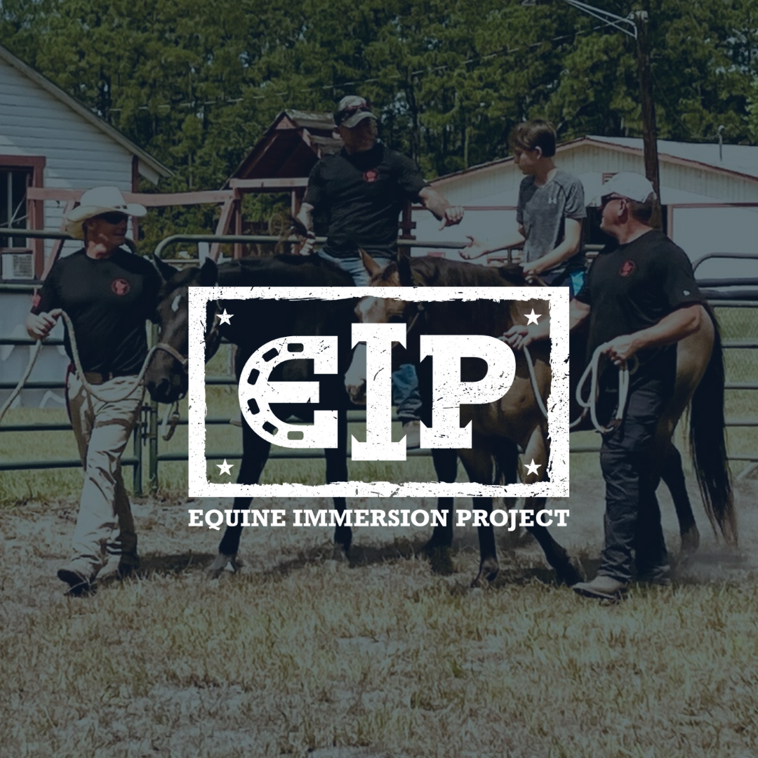 Normandy Horse Meet Up